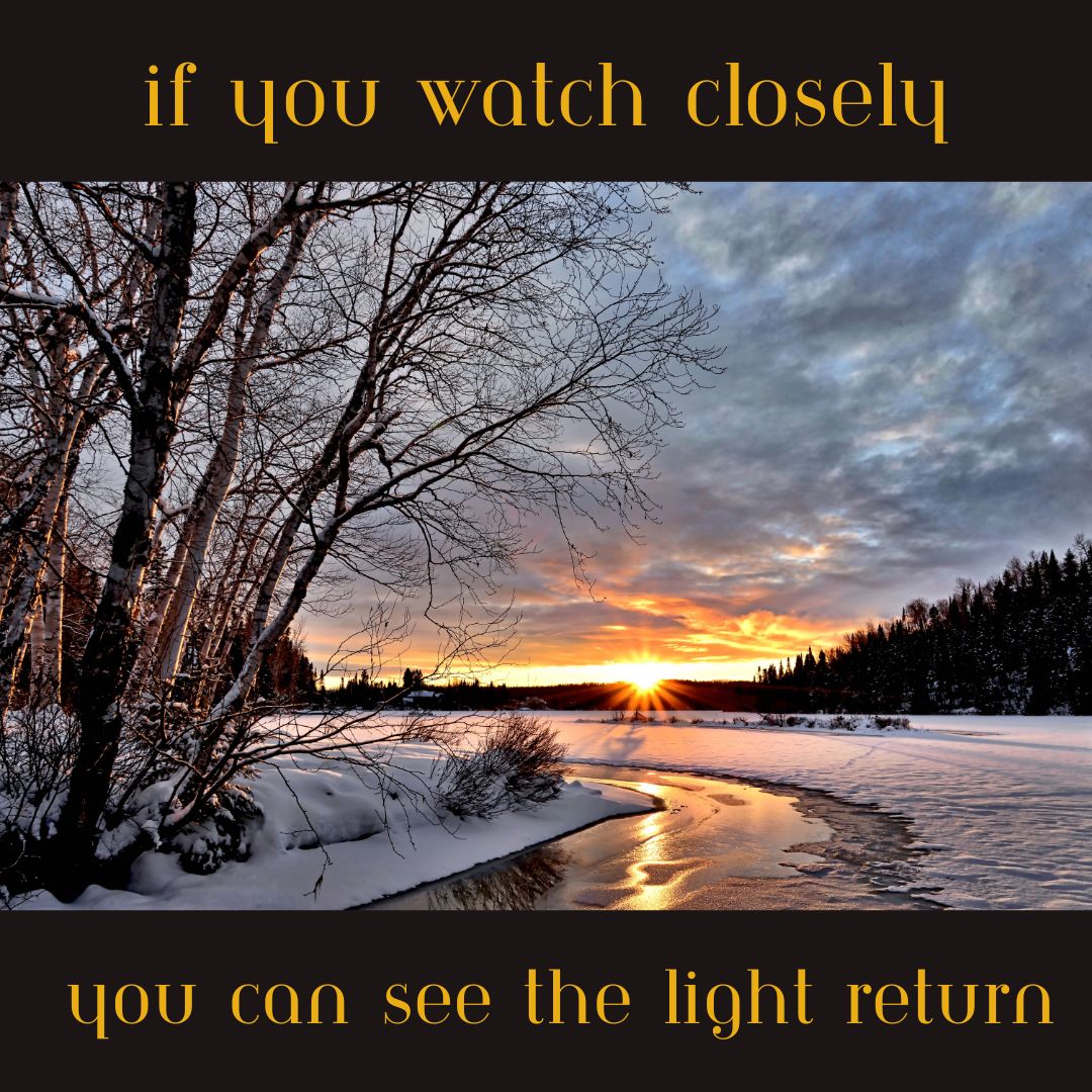 The Return of the Light: Finding Comfort in Winter – The Library Vault