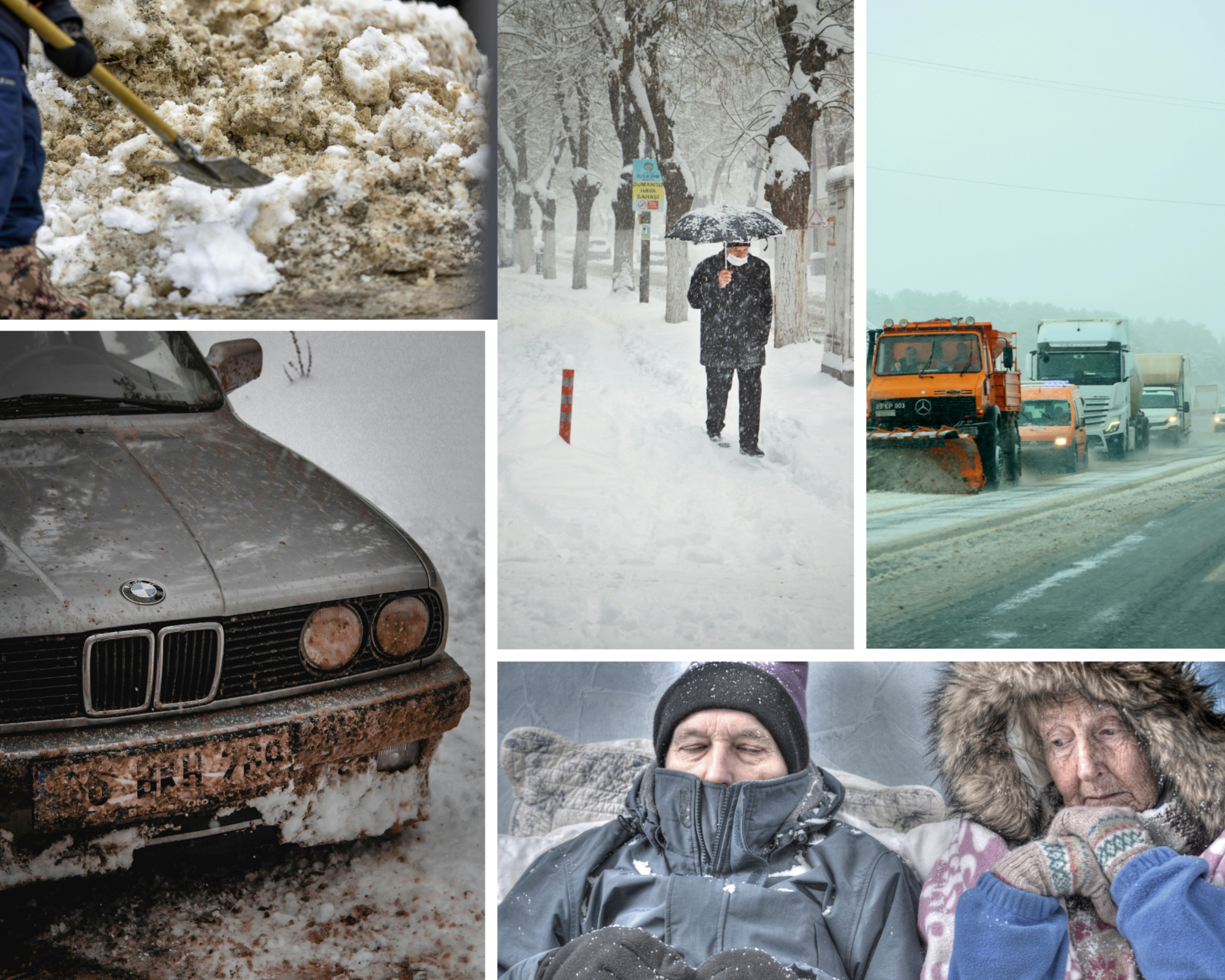 Winter Reimagined – The Library Vault